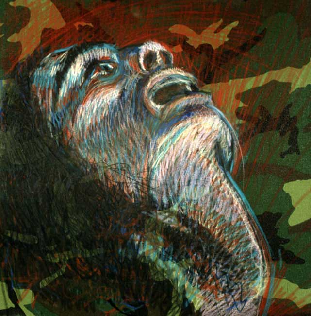 John Halaka | Witness #18